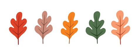 Set Of Cute Leaf For Autumn Design Element Collection Of Simple