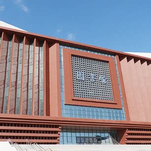 新疆大学