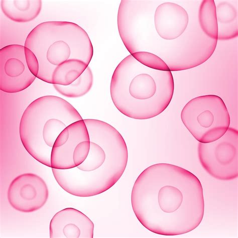 Premium Vector 3d Cell Stem Science Pink Background