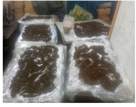 Pdf Soil Sampling And Sample Preparation