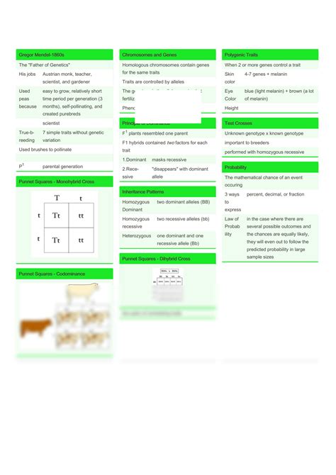 Solution Biology The Fundamentals Of Genetics Cheat Sheet Studypool