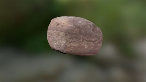 Microbially Induced Sedimentary Structures Download Free 3d Model By Callanbentley [3f5a120