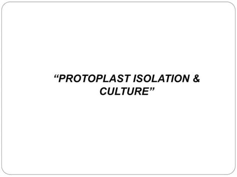Protoplast Isolation Culture And Methods To Check Viability Pdf