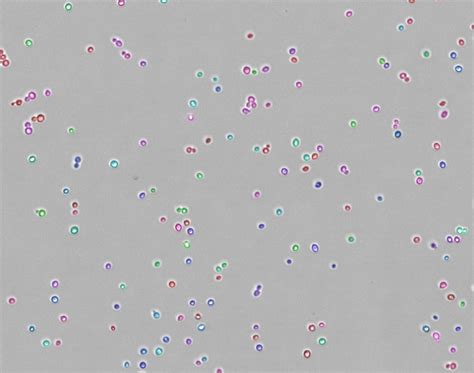 Particletech Algorithms Fermentation Analyzer By