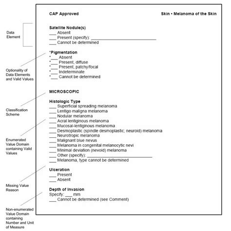 Fragment Of Uml Information Model For Melanoma Fragment Of The Cap
