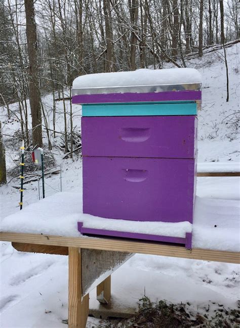 Winter Hive Song Appalachian Ground