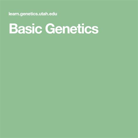 Basic Genetics A Comprehensive Guide