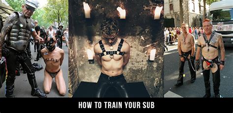 Slave Training A Doms Guide On How To Train Your Sub