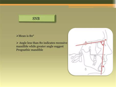 Steiners Analysis Cephalometrics Pptx