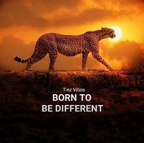 Tinoy Joseph On Linkedin ♦️