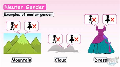 Common Genders And Neuter Genders English Grade 23 Tutway