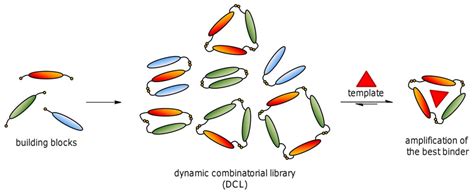 1 schematic representation of a dynamic combinatorial library and