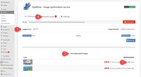 How To Serve WebP Images Instead Of Or PNG With WordPress
