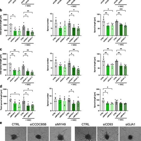 Validation Of Tip Cell Marker Phenotype In Vivo Ad Expression Levels