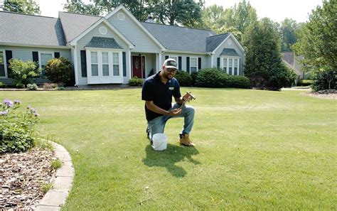 Why Soil Testing Is Important Lawn Care