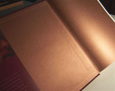 Shimmering End Sheets And Cover Flap Of The Dark Side Of Genius The