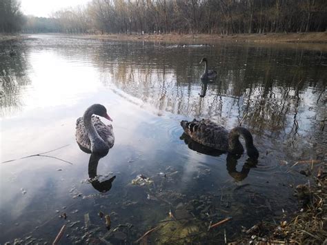 Ssl、tls是指什么？区别？ 知乎