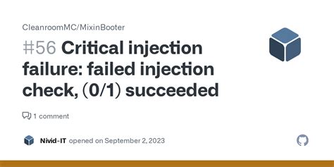 Critical Injection Failure Failed Injection Check Succeeded Issue CleanroomMC
