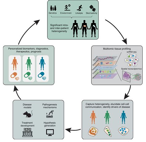 Figure From The Use Of Single Cell RNA Sequencing And Spatial Transcriptomics In Understanding