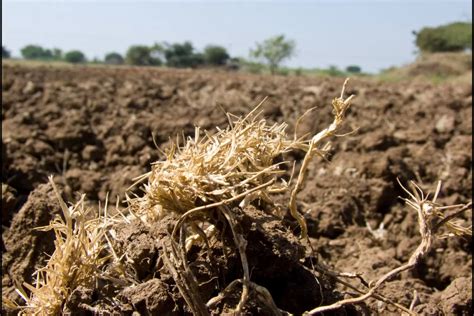 A Little Help From Heaven By Mark Esping The Milk House