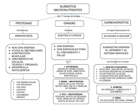 Alimentos Macronutrientes Mapa Conceptual