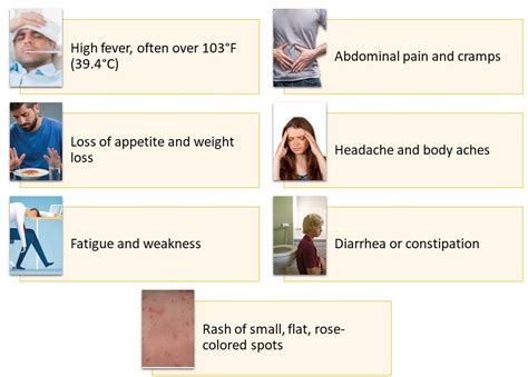 Typhidot Test Igm And Igg Get Price Purpose And Results [2024]