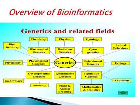 Overview Of Bioinformatics Pptx