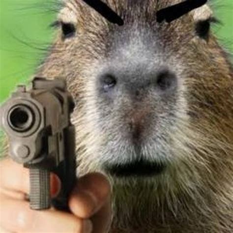 Code Chill Youtube Code Chill Youtube