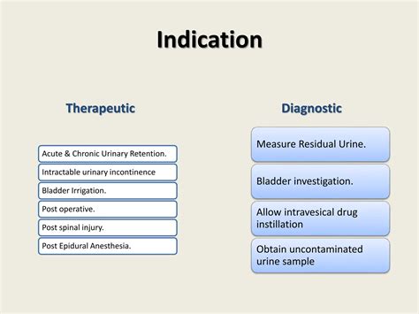 Urinary System Catheterization Procedure Pptx