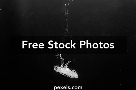 Liquid Environment Photos Download The Best Free Liquid Environment