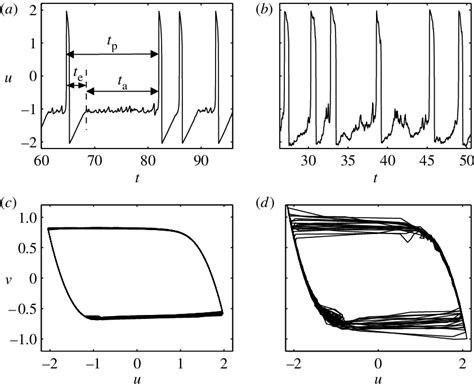 Ab Noise Induced Excitations And Cd Phase Portraits In The