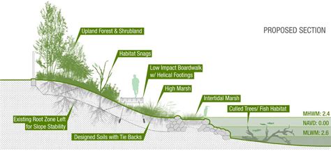 Projects — Terrain Nyc Landscape Architecture Diagram Landscape Architecture Section