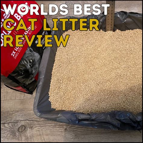 Pc Cat Litter Review At Erin Patteson Blog