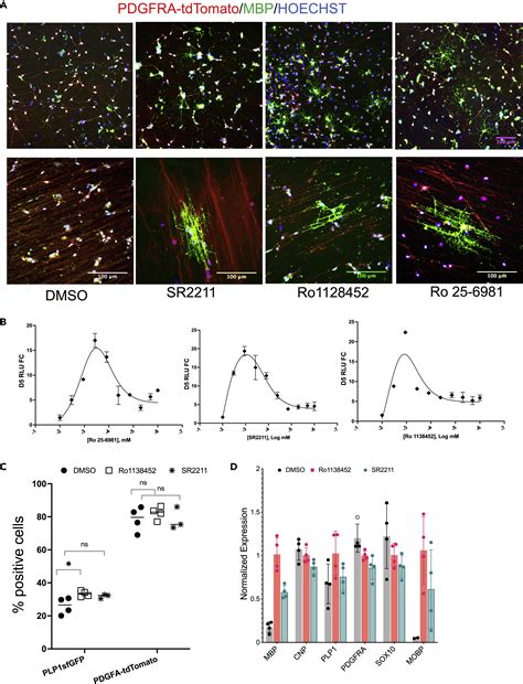 High Throughput Screening For Myelination Promoting Compounds Using