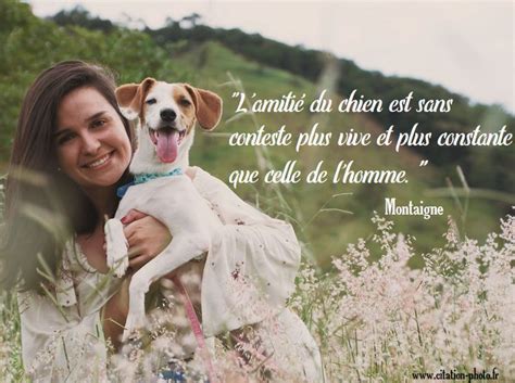Lamitié Du Chien Est Sans Conteste Plus Vive Et Plus Constante Que Celle De Lhomme
