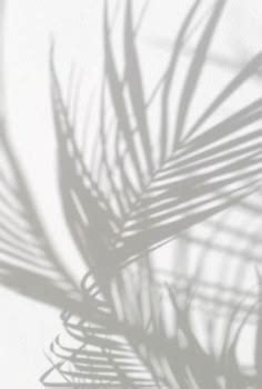 19 White Aesthetic Ideen Weiße ästhetik Hintergrund Weiß