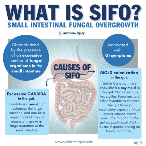 Understanding Sifo And How To Treat It Nutrition With Judy