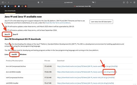 Mac Jdk Mac Jdk Arm Csdn