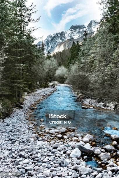 Aliran Sungai Biru Dingin Di Pegunungan Alpen Di Musim Dingin Foto Stok Unduh Gambar Sekarang