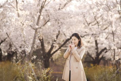 여의도 벚꽃축제 아이와 가족나들이 야외스냅 네이버 블로그