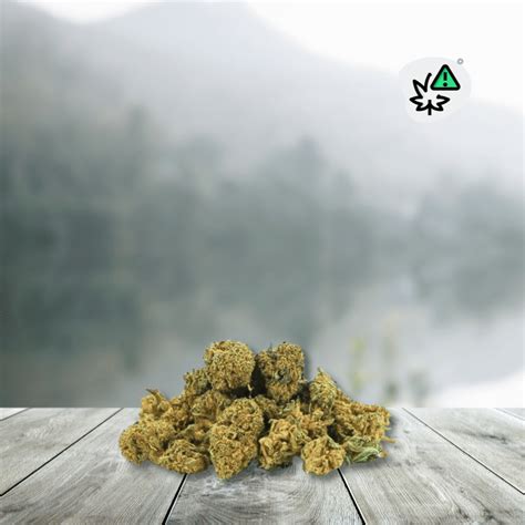 Small Strawberry C4b Hhcpo 20 Lord Of Cbd