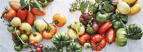 About Stoffels Stoffels Tomaten