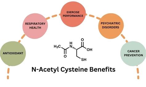 L Cysteine Hcl Monohydrate Benefits Side Effects Pjlm