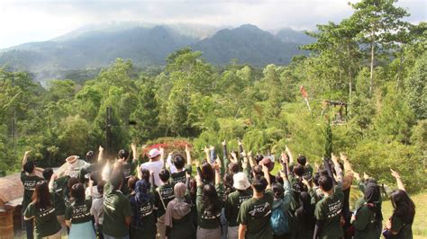 Brain Chambers Soil Fund Forestry Summer Course British Society Of