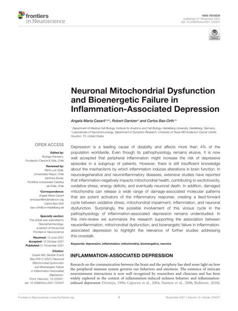 Pdf Neuronal Mitochondrial Dysfunction And Bioenergetic Failure In