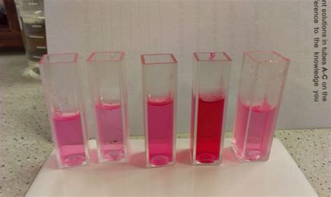 Biology E Journal Practical Lesson 1 Beetroot Lab Report
