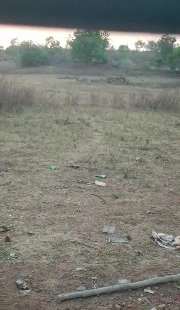 Desi Saree Pissing Video Thisvid Com