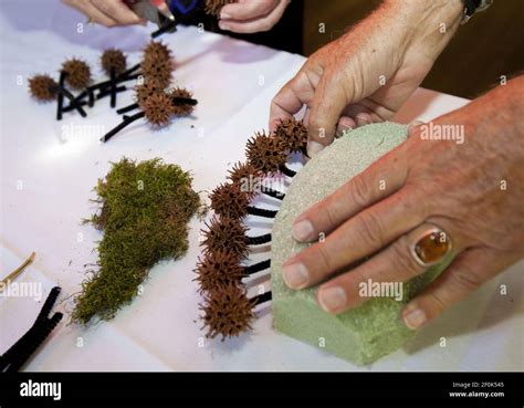 Floral Designer Don Haynie Inserts Balls From A Sweetgum Tree Into Foam