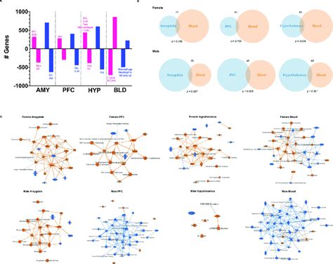 Differentially Expressed Genes Between Cie And Air C57bl6j Mice A