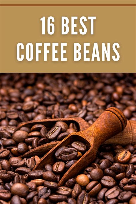 16 Best Coffee Beans Best Coffee Beans To Try Best Coffee Beans